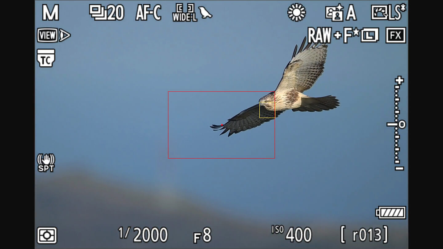 Nikonカメラで削除・消失したNEFファイルを復元する方法